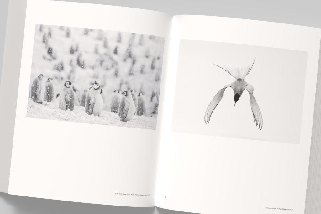 Vincent Munier, la monographie - Vincent Munier - Kobalann